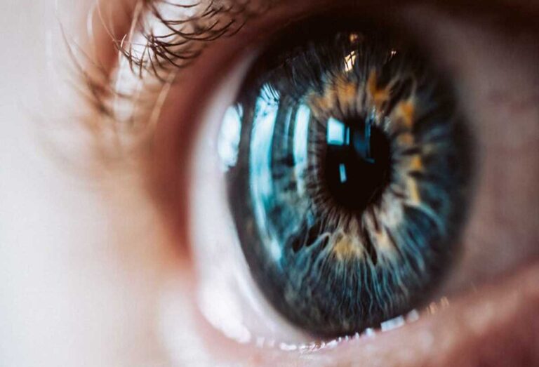 The Pivitol Role of Antioxidants in Eye Health | The Federation of ...